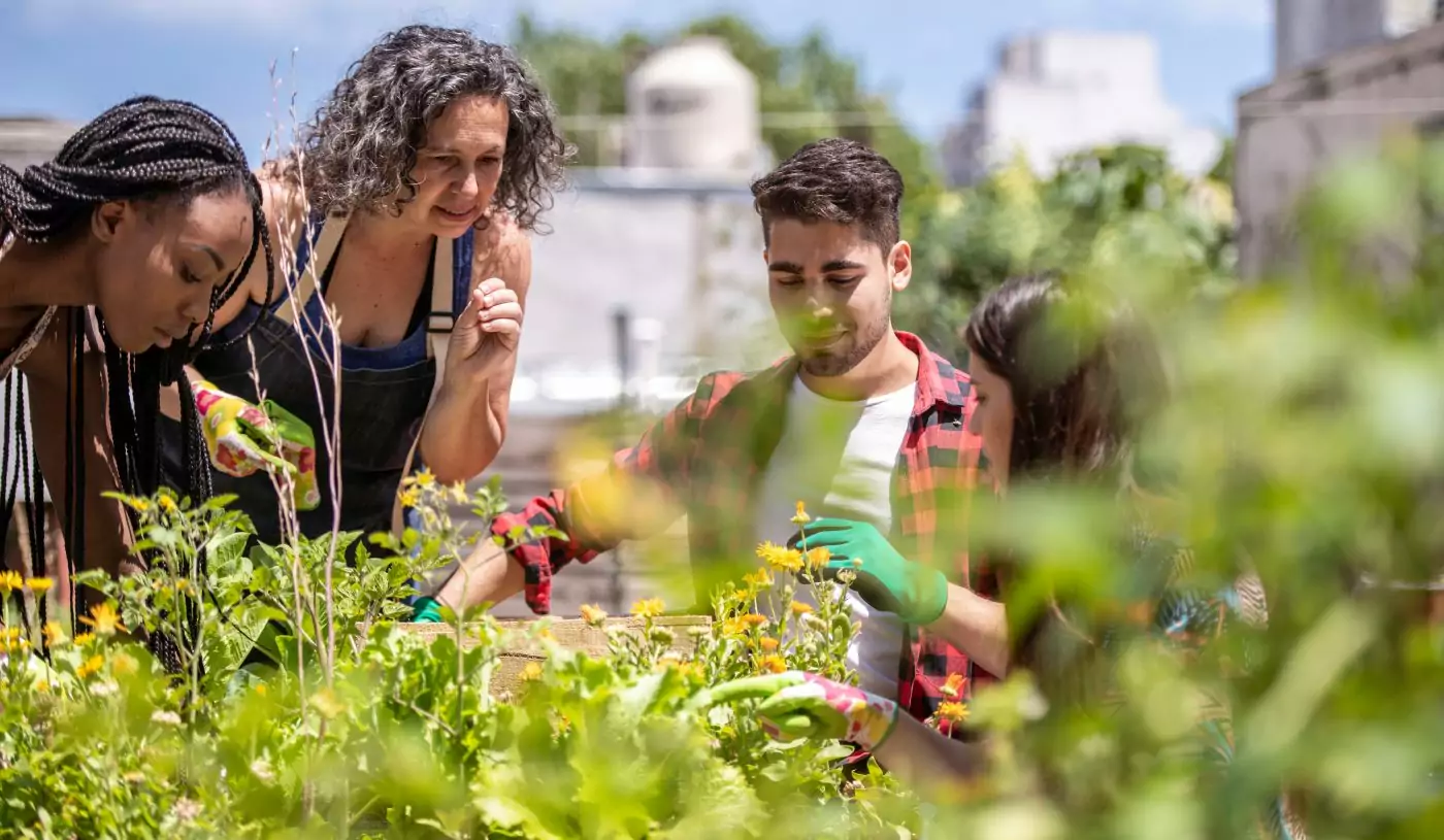 Community-Based Learning (CBL) Program | Polk State College