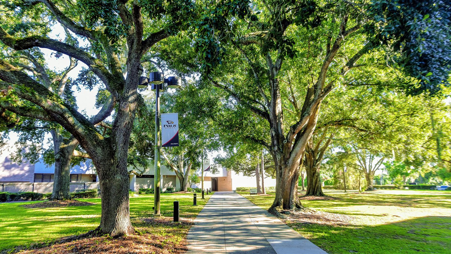 History | Polk State College